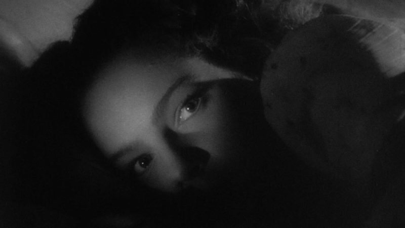 Current Season – Chicago Film Society