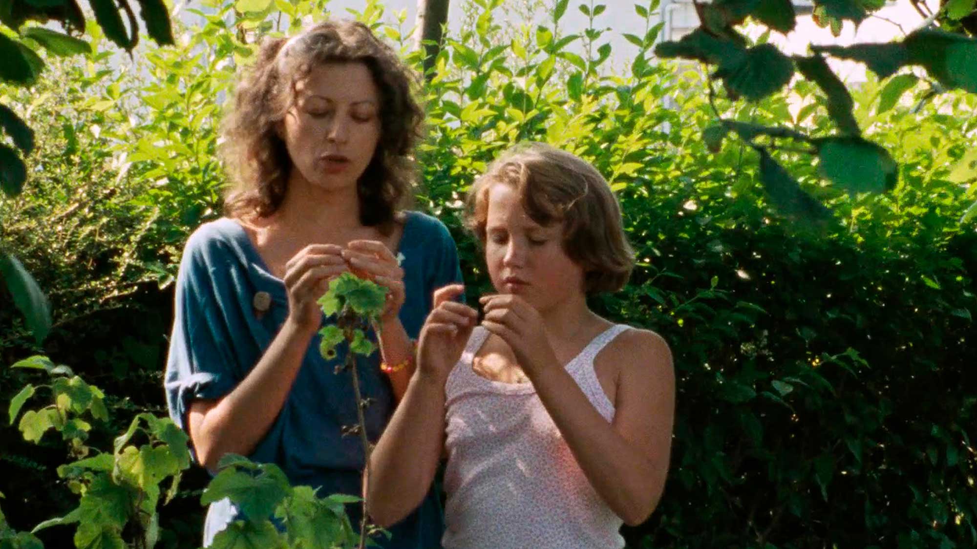 The Green Ray – Chicago Film Society