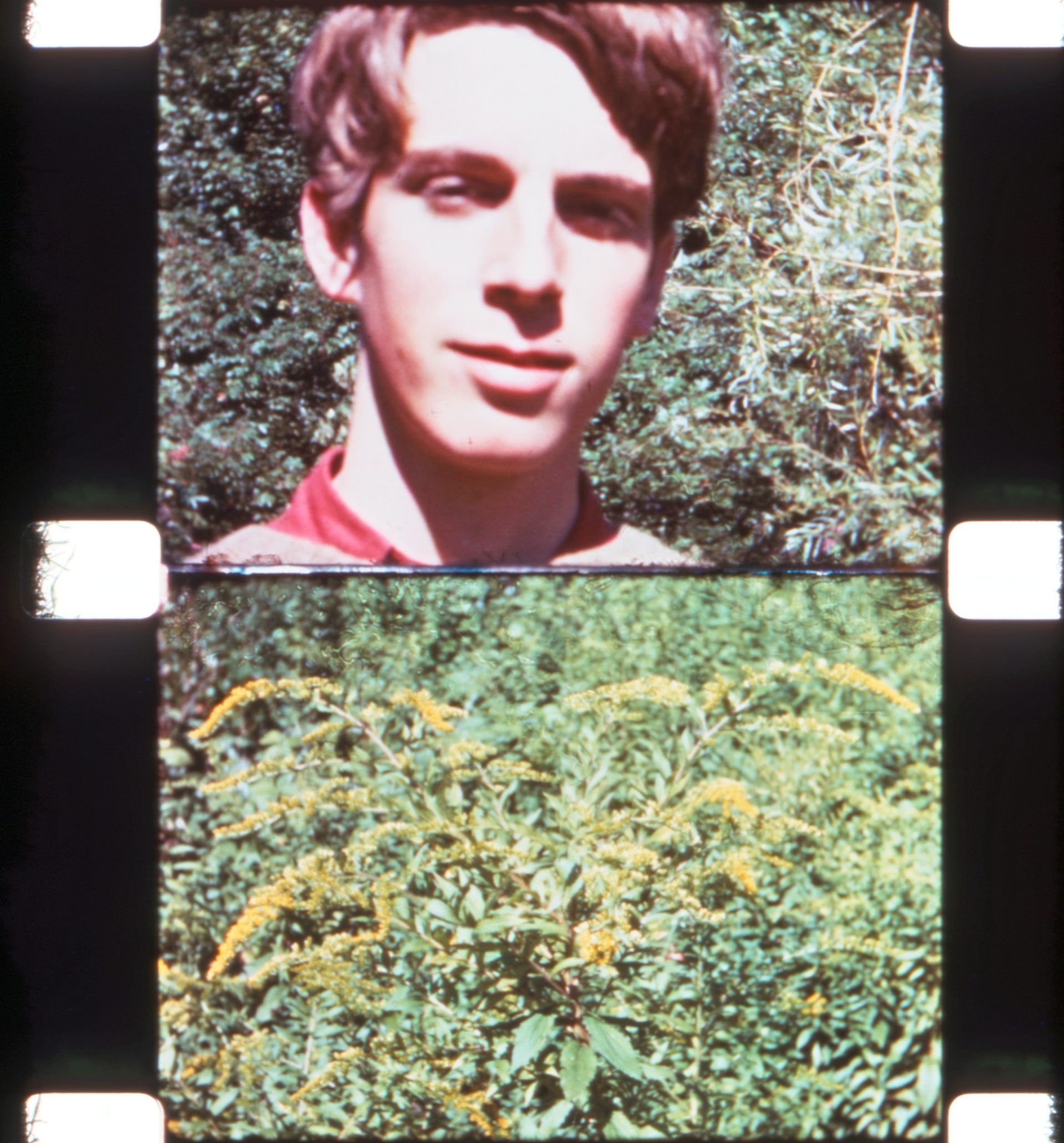 The Films of Fred Camper – Chicago Film Society