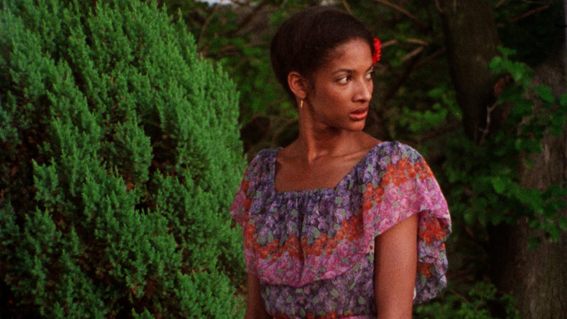 Losing Ground – Chicago Film Society